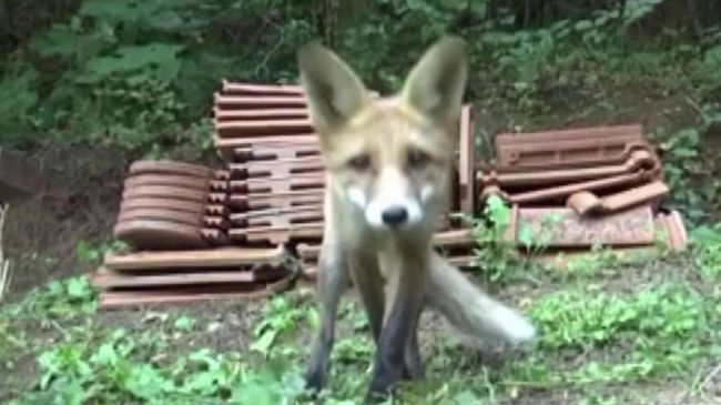 Teleexpress Extra | TVP INFO