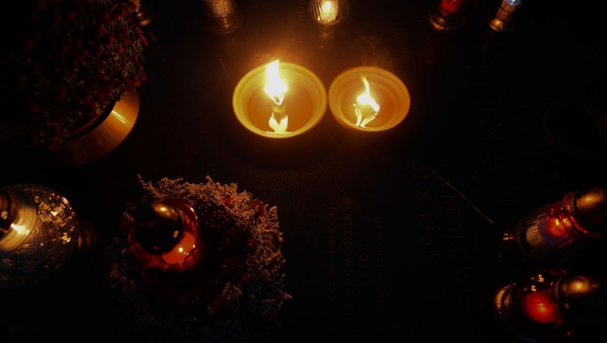 Troy Dargan zmarł w wypadku. Był zawodowym rugbystą | TVP SPORT