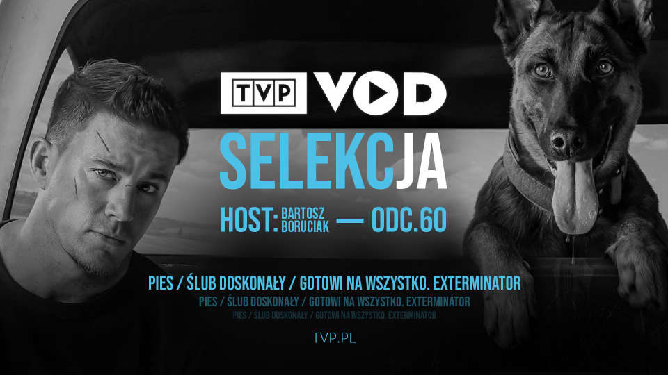 Historie, które bawią do łez. Komedie w TVP VOD