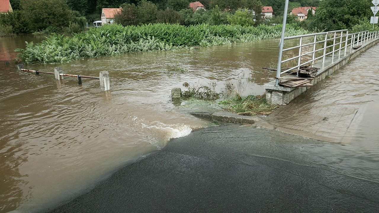 Nowogród Bobrzański. Rośnie poziom wody na Bobrze. | TVP INFO