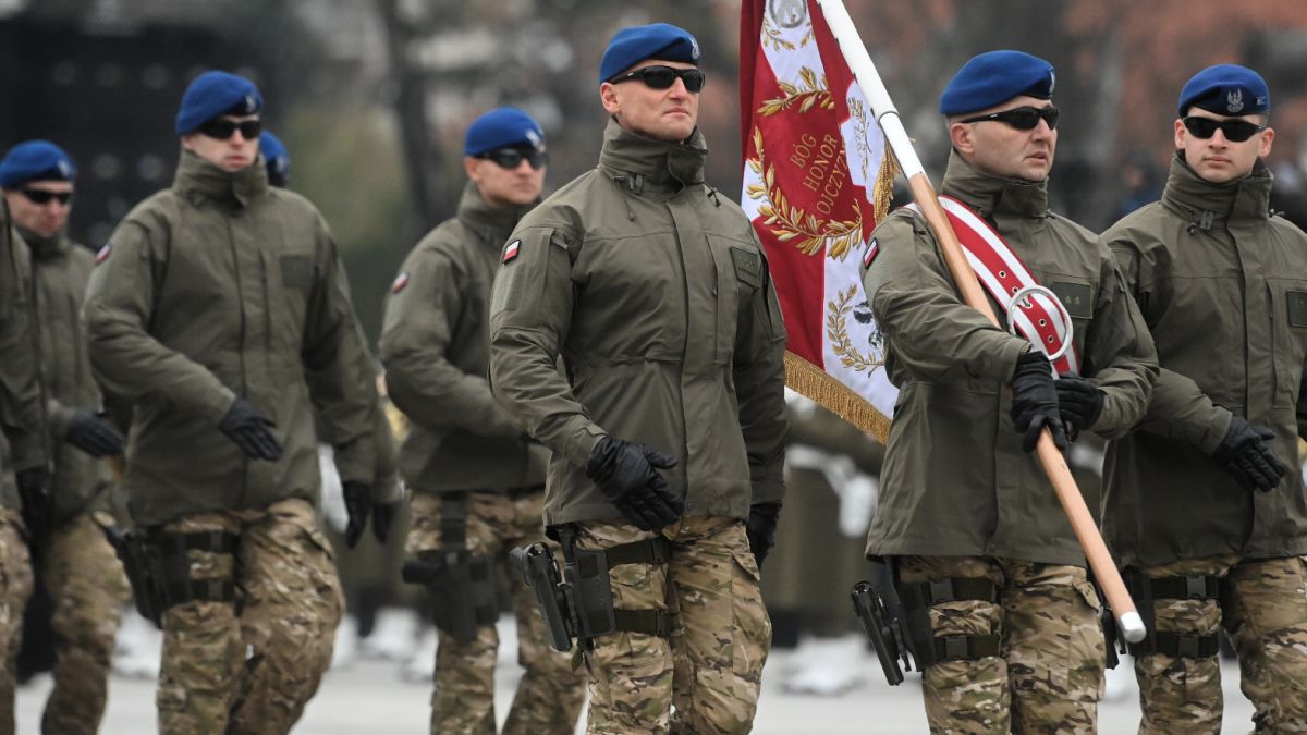 Poland’s new ‘cyber soldiers’ join Independence Day ceremony