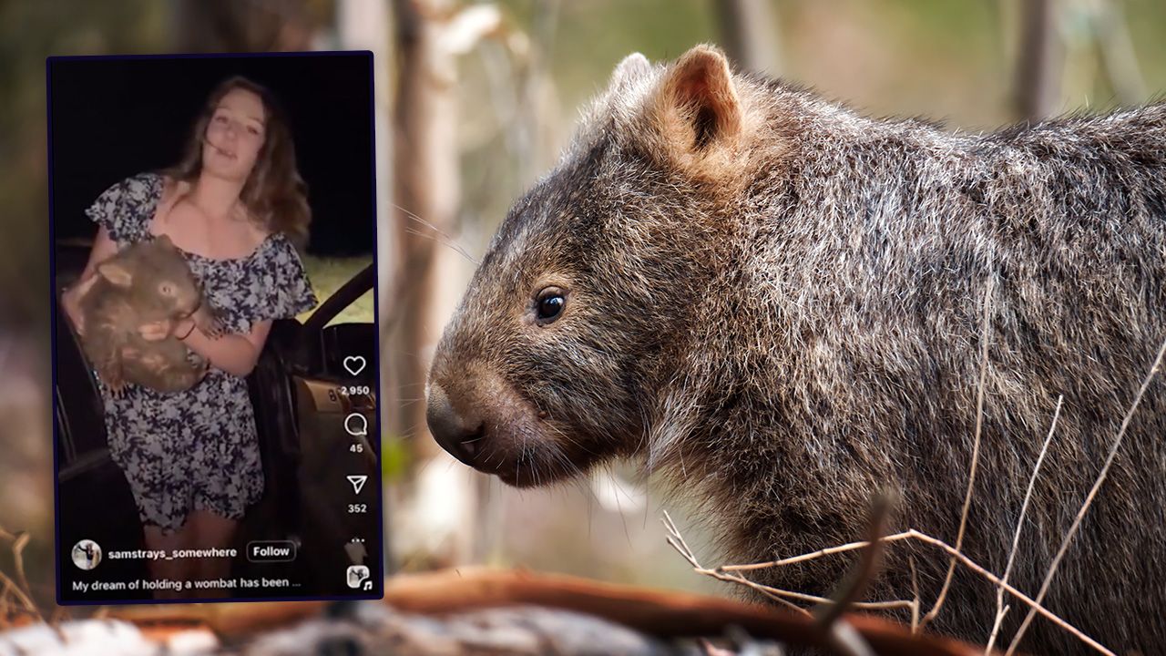 Australia: influencerka Samantha Strable, znana jako Sam Jones ...