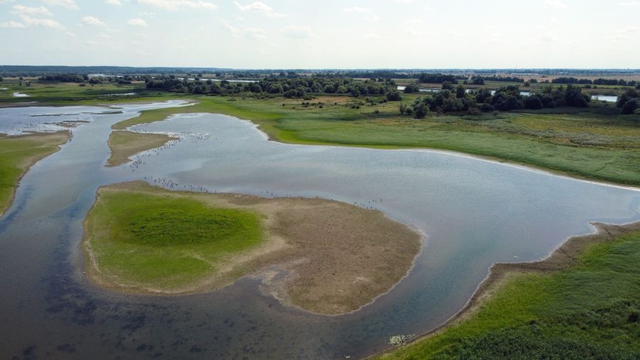 Niski stan rzeki Odry w Zachodniopomorskiem
