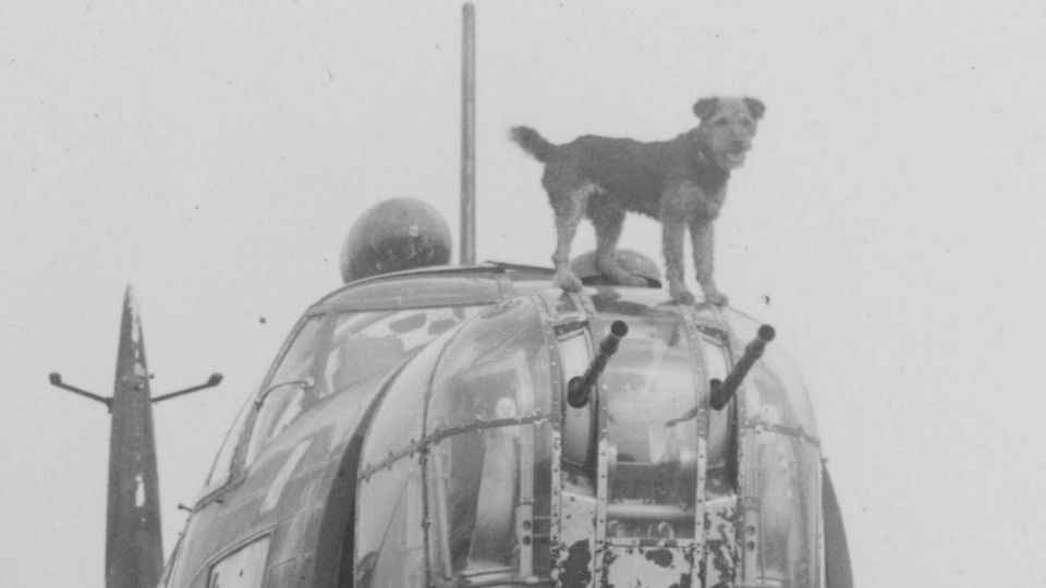 The remarkable tale of Ciapek, a Polish WWII bomber squadron mascot
