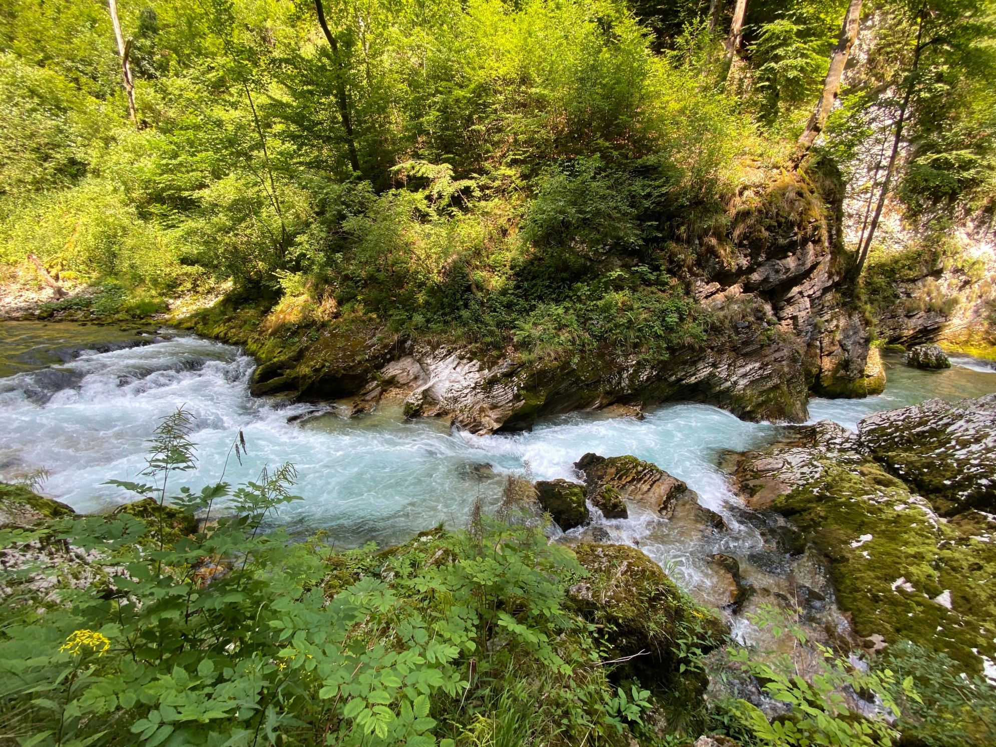 Malownicze parki narodowe Europy. Przeżyj podróż w głąb natury [GALERIA]