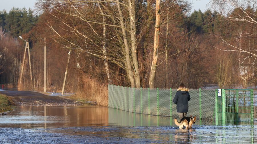 Szef MON skierował żołnierzy na zalane tereny Mazowsza Szef MON skierował żołnierzy na zalane tereny Mazowsza