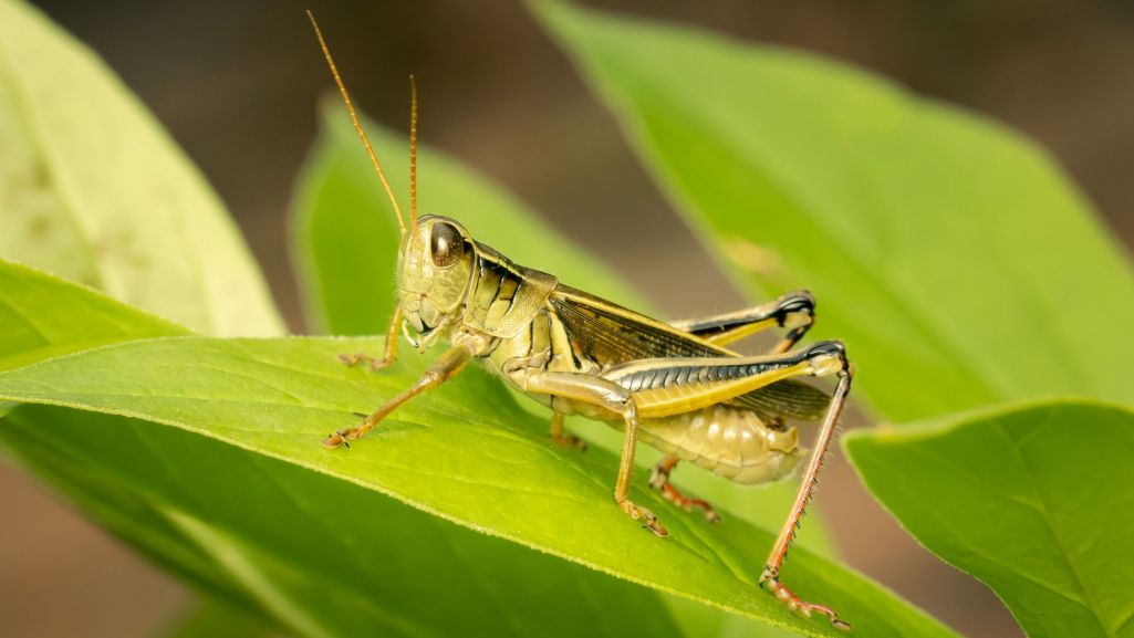 Podsumowanie 2022 roku w Internecie. Odpowiedzi na 7 najbardziej ...