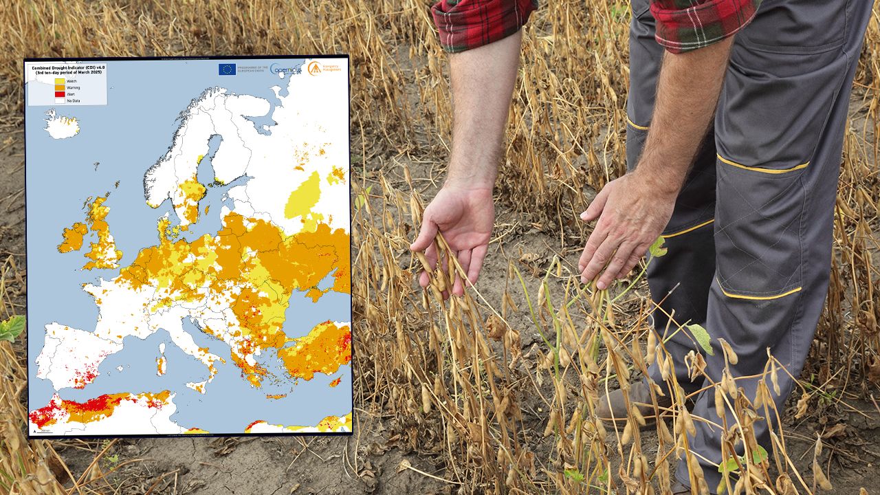Susza w Polsce i Europie. Ta mapa pokazuje, jak rozległy jest kryzys ...