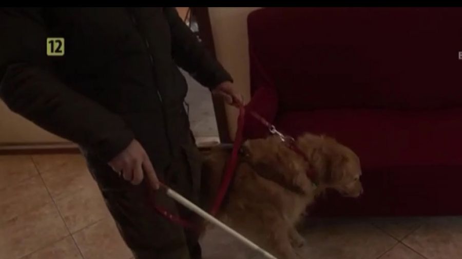 GIS: właściciel lokalu nie może odmówić wstępu psu asystującemu osobie ...